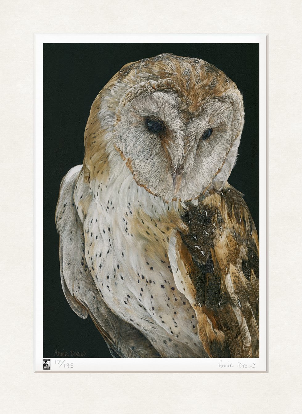 Wildlife Prints - Annie Drew Wildlife Art