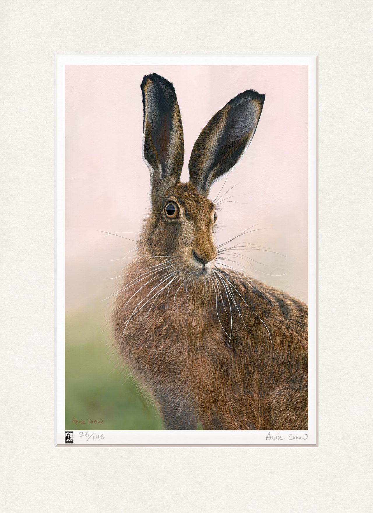 Wildlife Prints - Annie Drew Wildlife Art