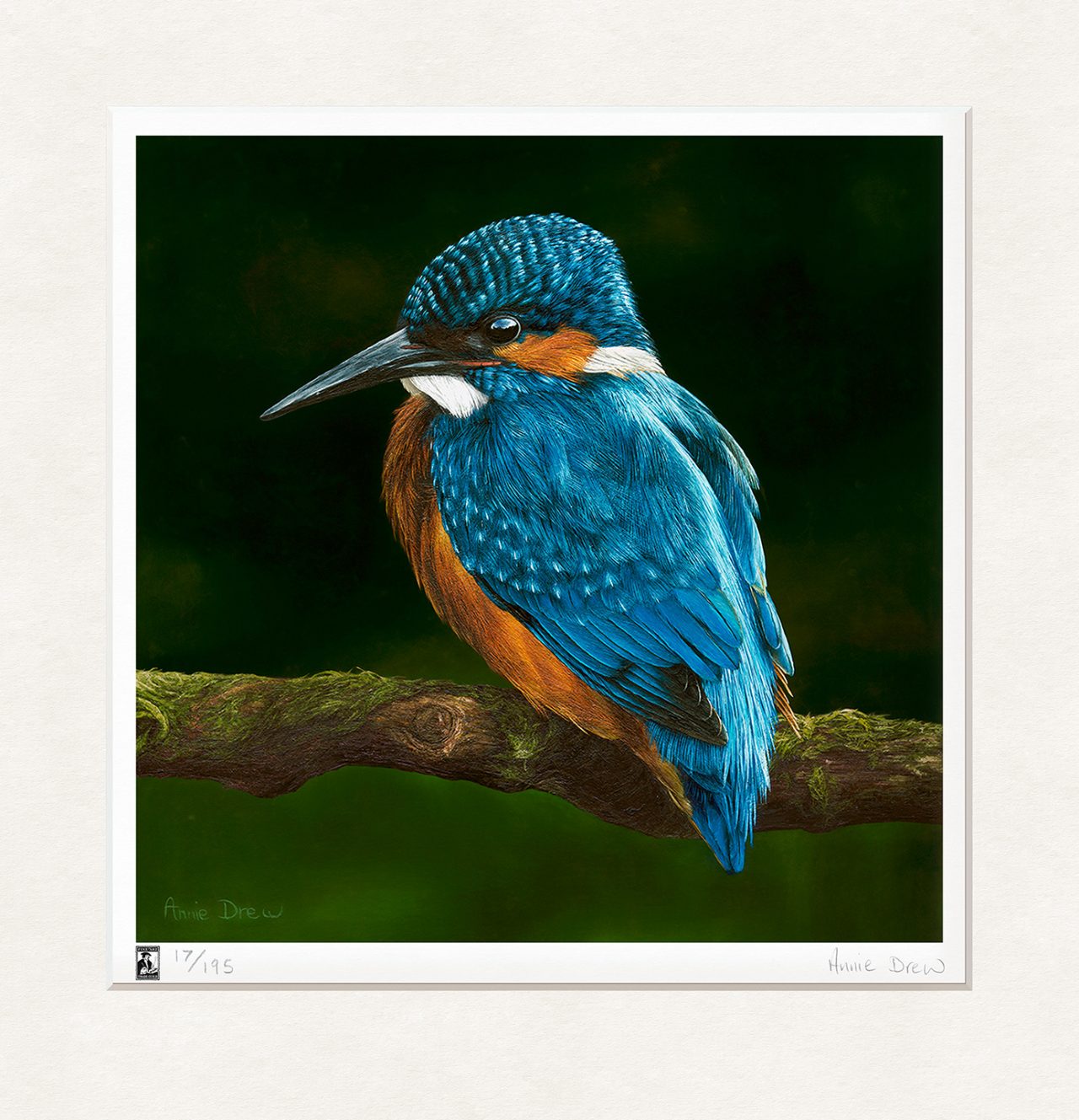 Wildlife Prints - Annie Drew Wildlife Art