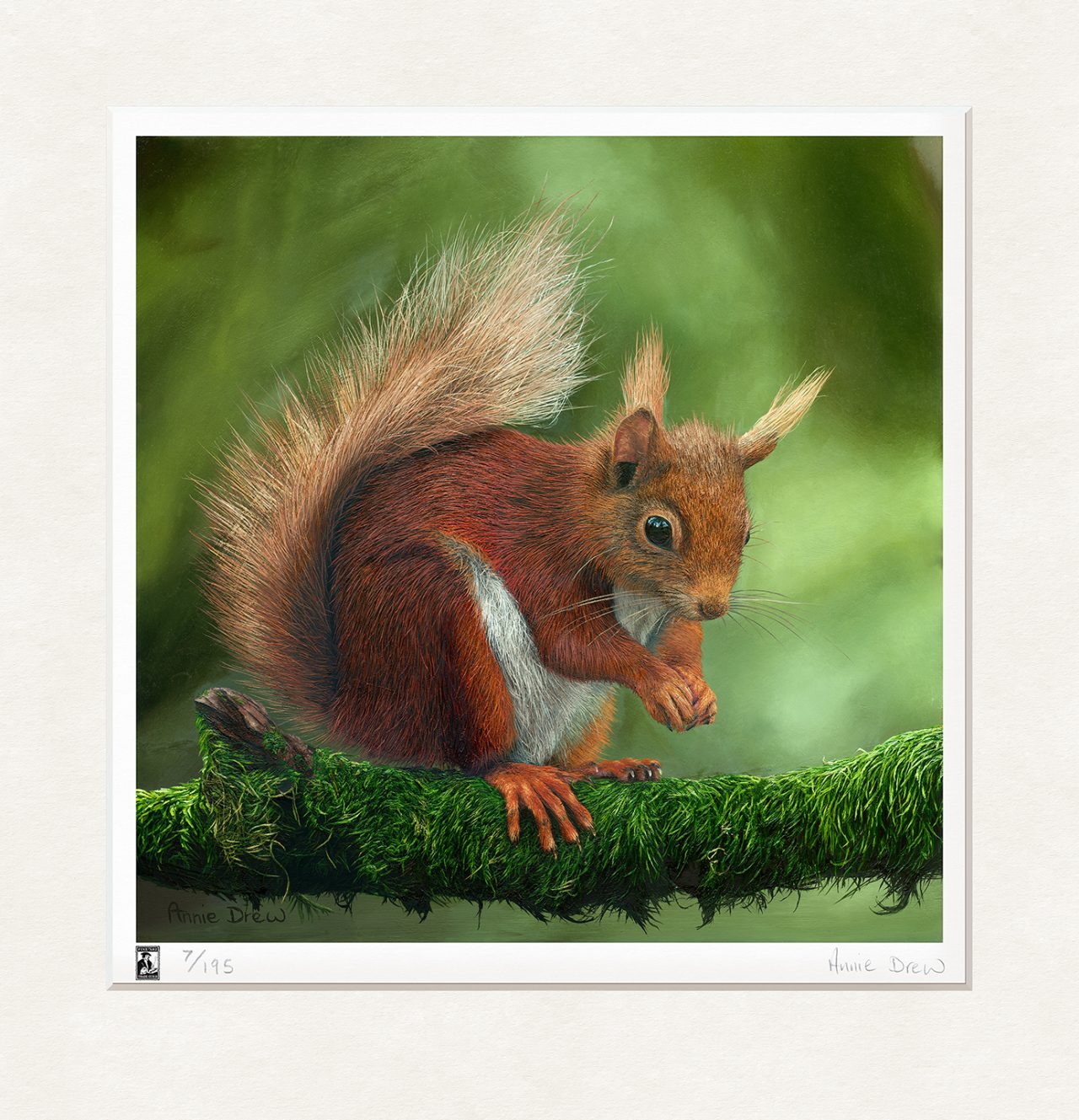 Wildlife Prints - Annie Drew Wildlife Art