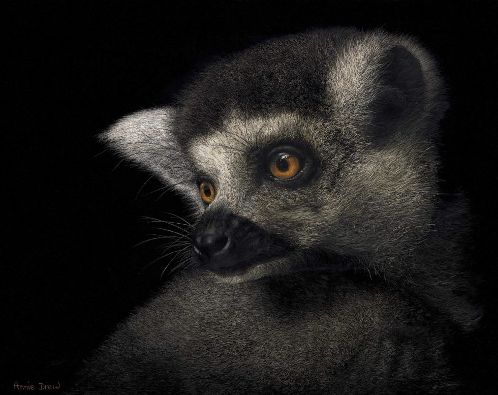 Oil Paintings For Sale - Annie Drew Wildlife Art